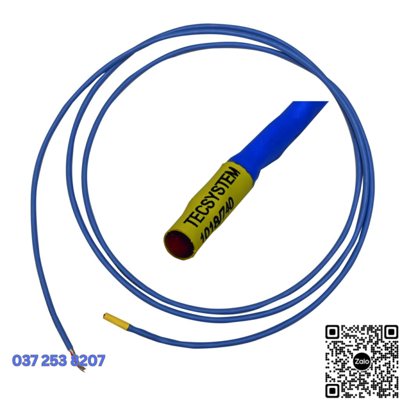 PTSE Temperature sensor TECSYSTEM Việt Nam